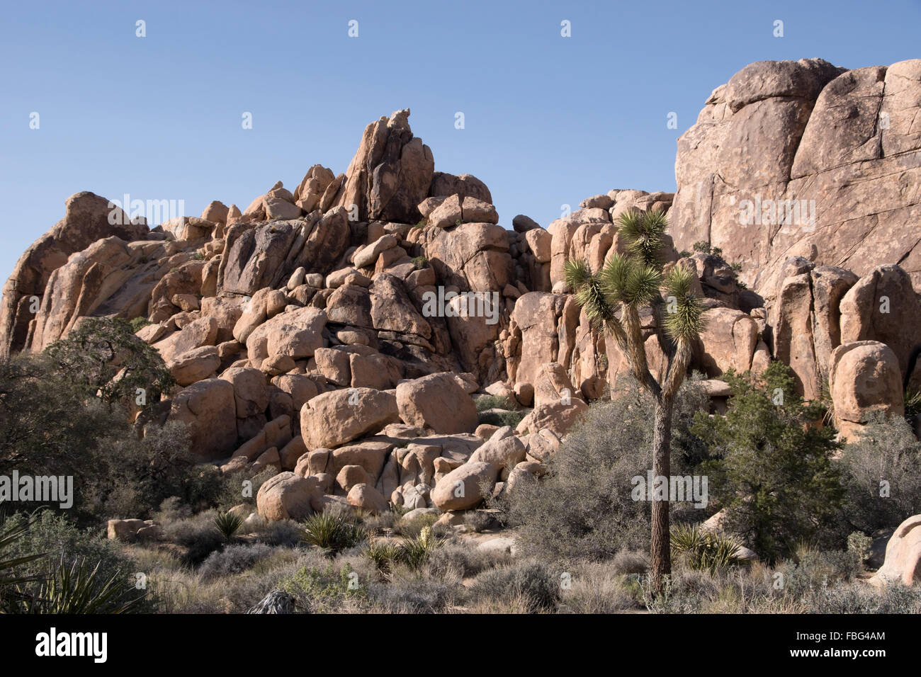 Joshua Tree National Park is located in southeastern California, USA ...
