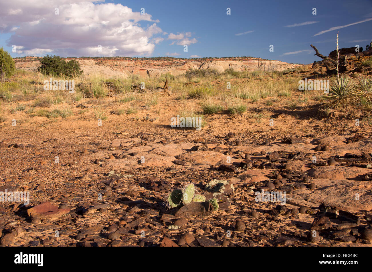 At the Moki Holls are lying thousands of stone balls, called Moqui ...