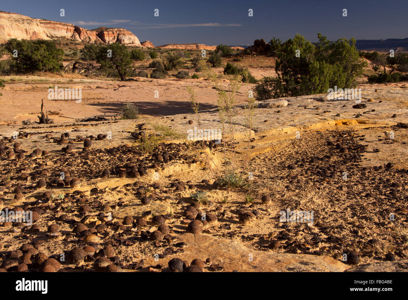 At the Moki Holls are lying thousands of stone balls, called Moqui ...