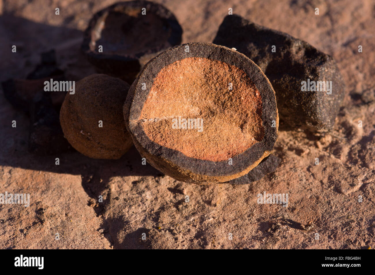At the Moki Holls are lying thousands of stone balls, called Moqui ...