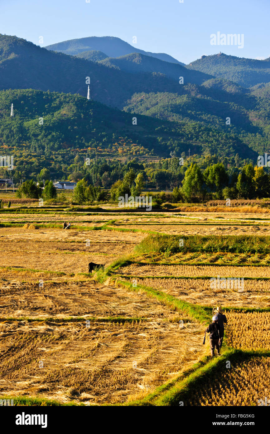 Old Theatre Inn,Village,surrounding countryside,Jiang River,Duanjiadeng ...