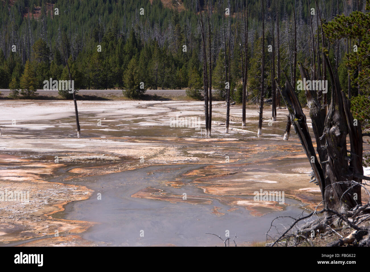 Photo taken at Yellowstone National Park, Utah, USA, in October Stock ...