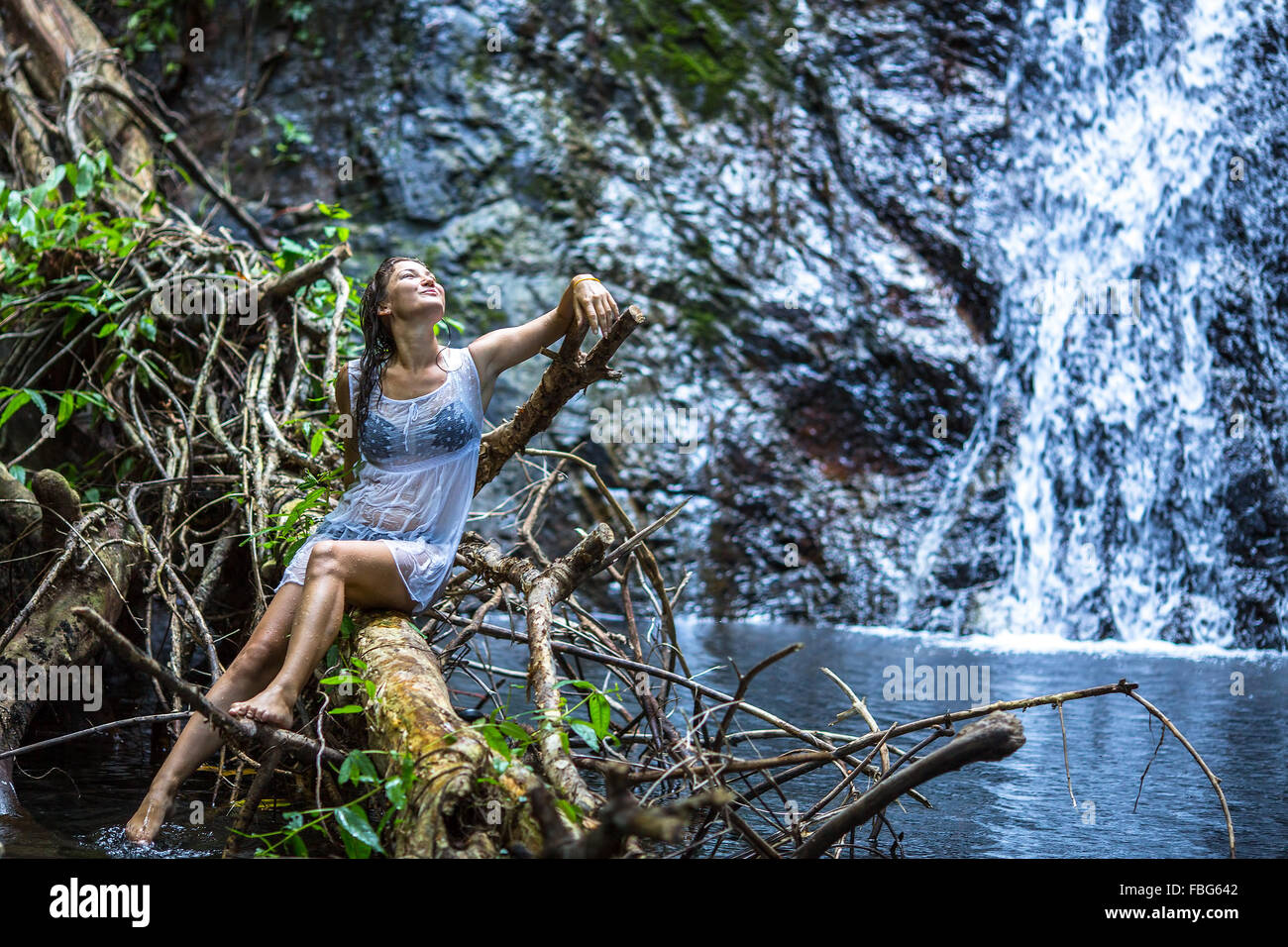 Waterfall Model High Resolution Stock Photography and Images - Alamy