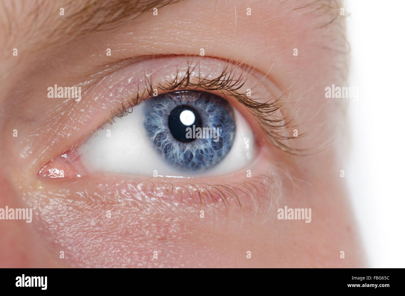 The human eye is blue, close-up Stock Photo - Alamy