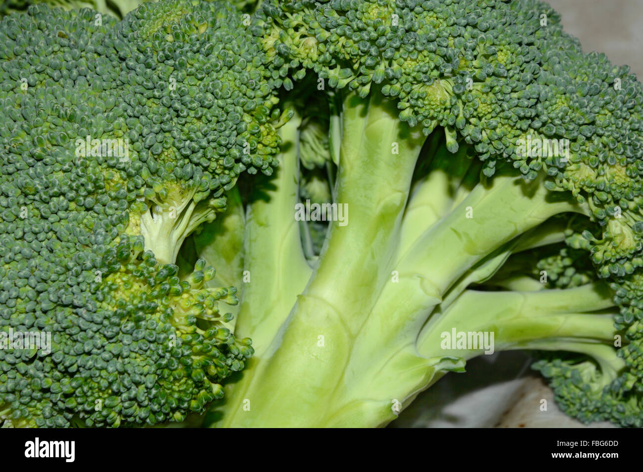 Close up if bunch of broccoli Stock Photo - Alamy
