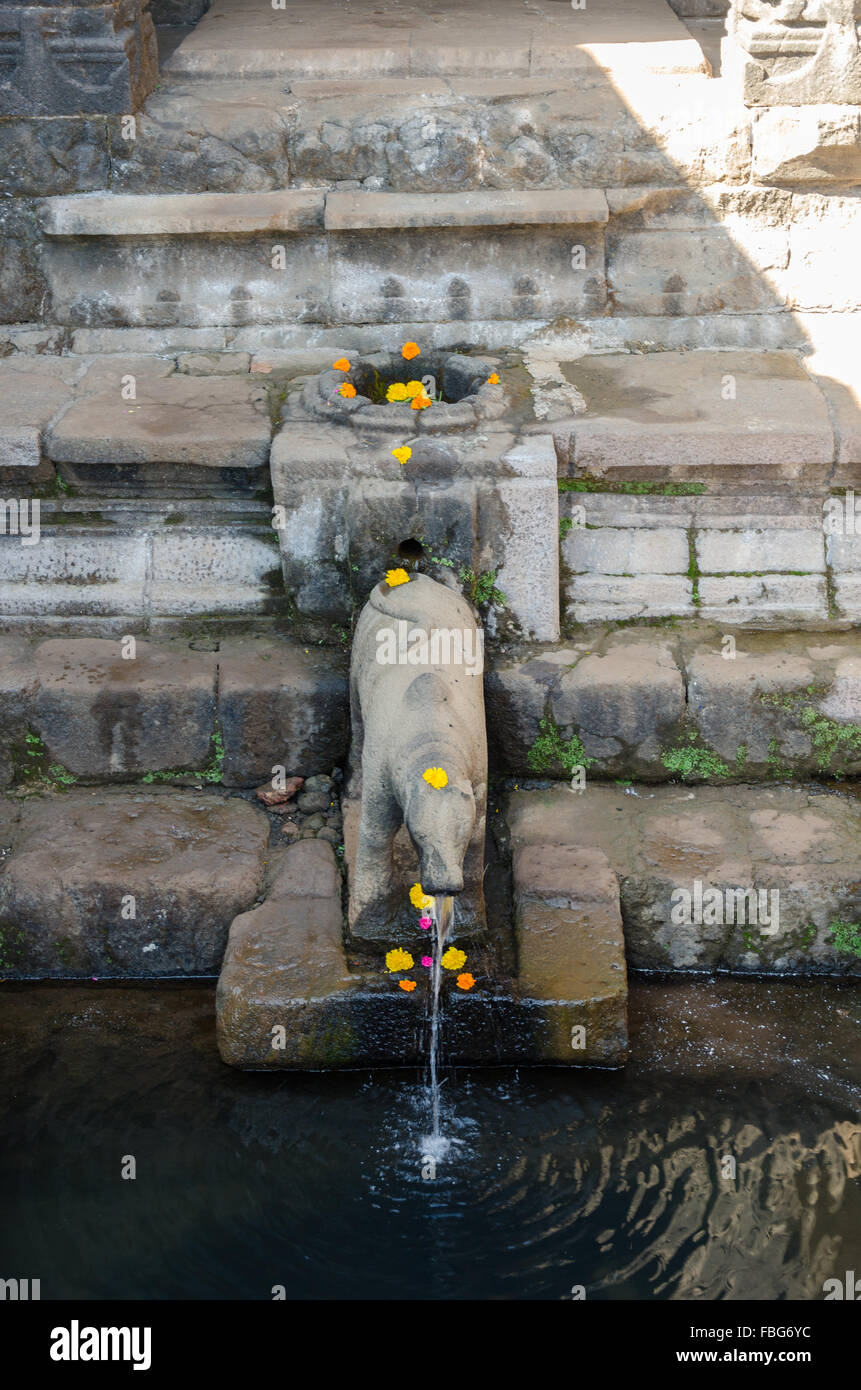 Krishna river flowing from a cow-face on a kunda at Krishnabai temple ...