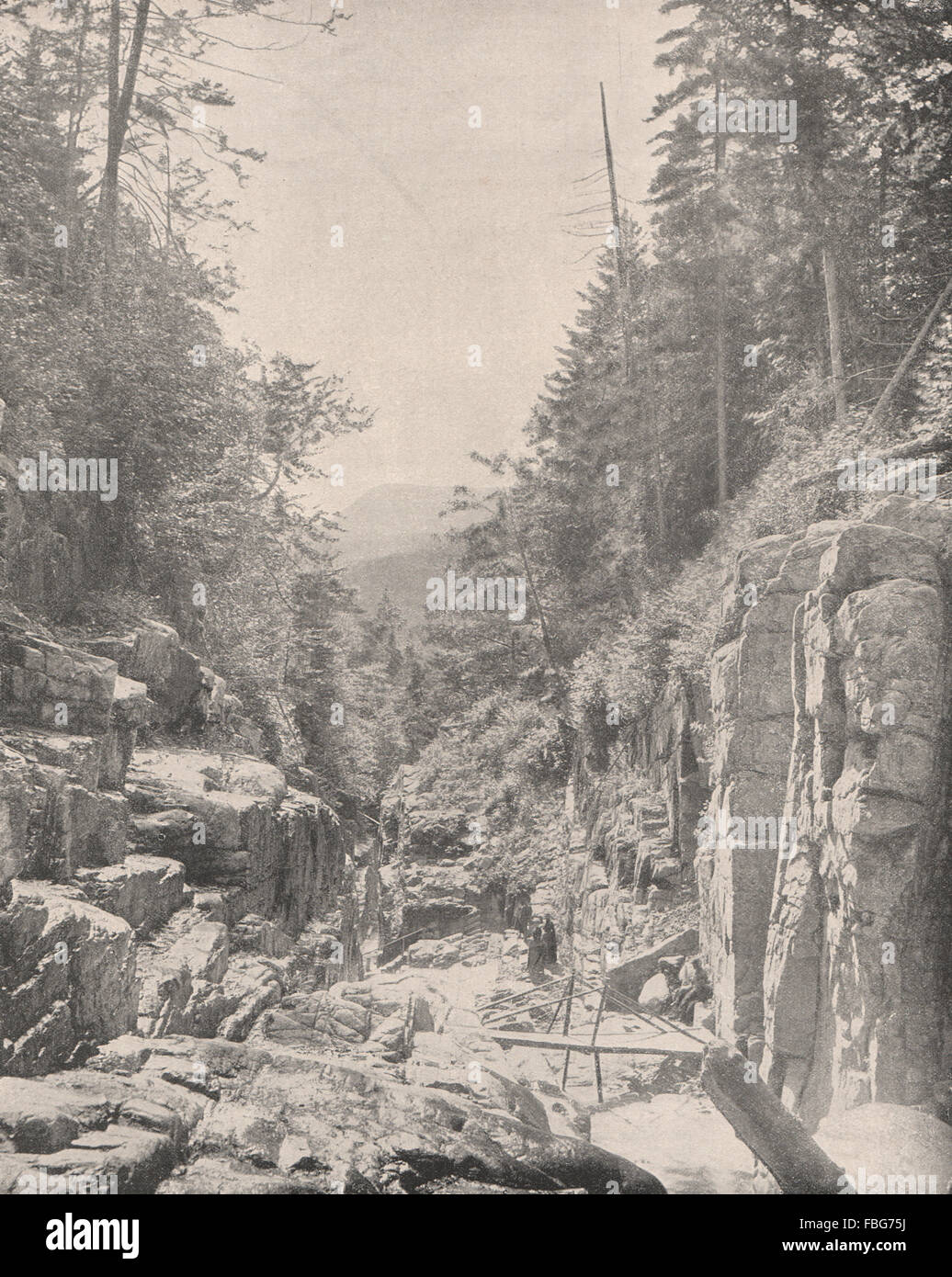 Flume Gorge, Franconia Notch State Park, White Mountains, New Hampshire ...