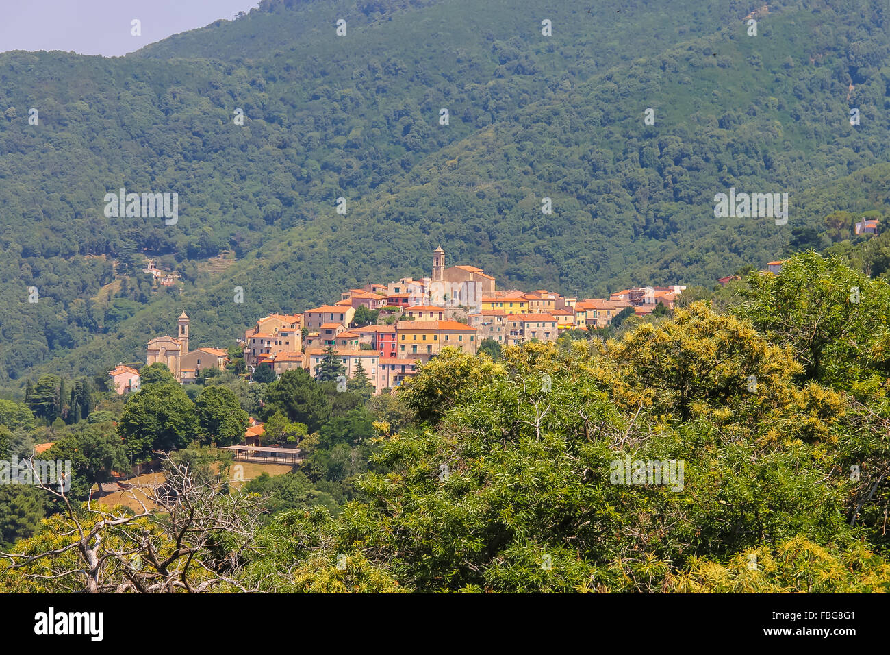 Old houses and bell towers on the hill on Elba Island, Marciana, Italy ...