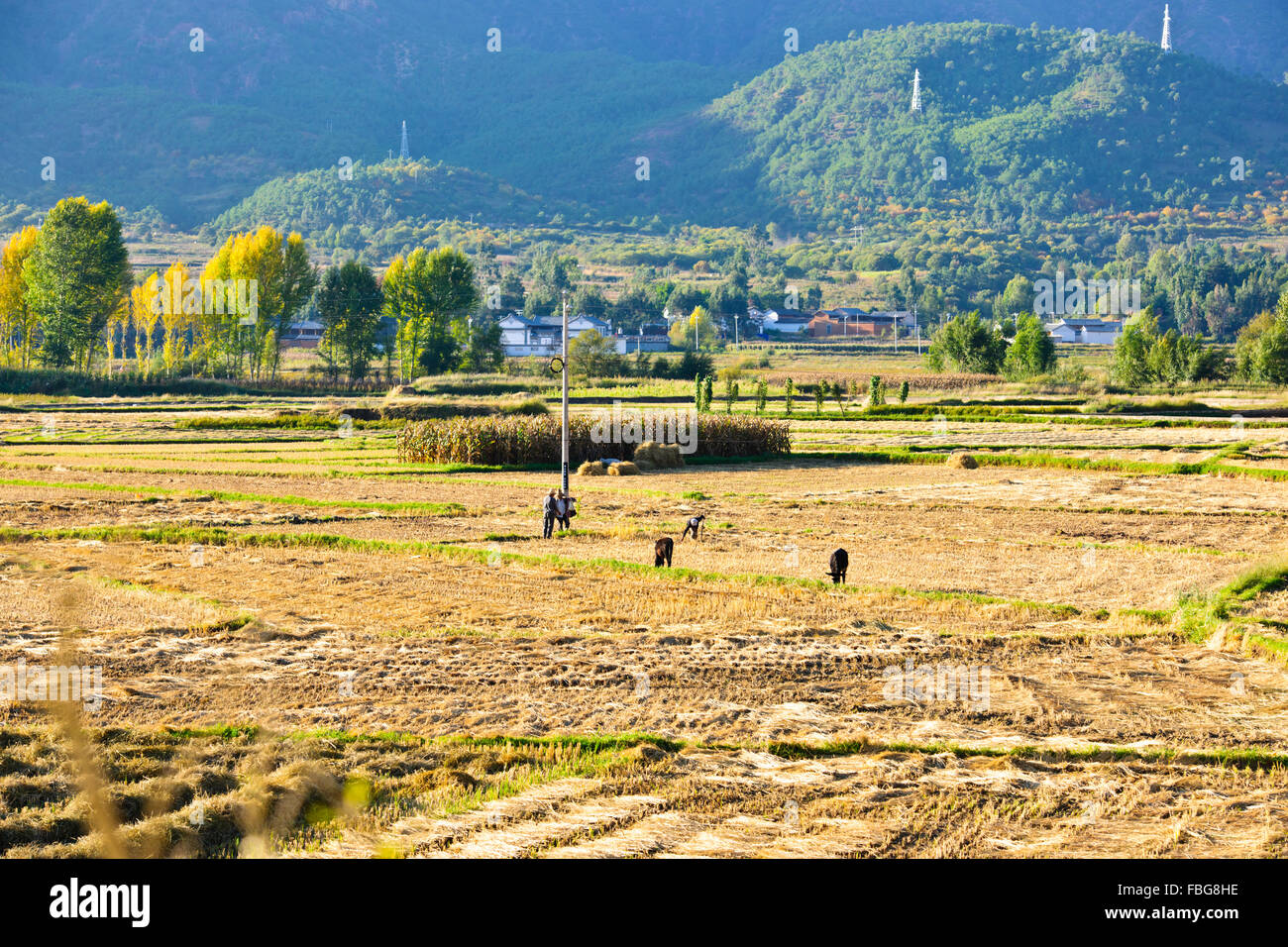Old Theatre Inn,Village,surrounding countryside,Jiang River,Duanjiadeng ...