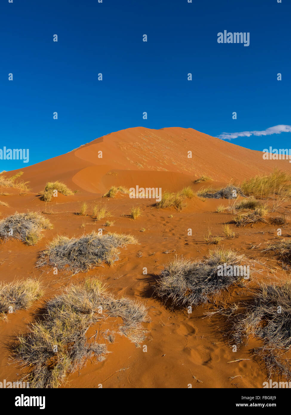 Sand dune, Namib Desert, Hardap Region, Namibia Stock Photo - Alamy