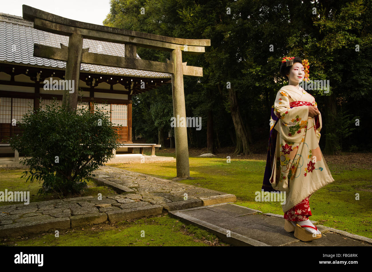 Maiko (an apprentice geiko) in Kyoto, Japan Stock Photo - Alamy