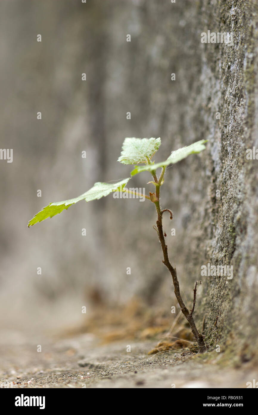 Start new life hi-res stock photography and images - Alamy