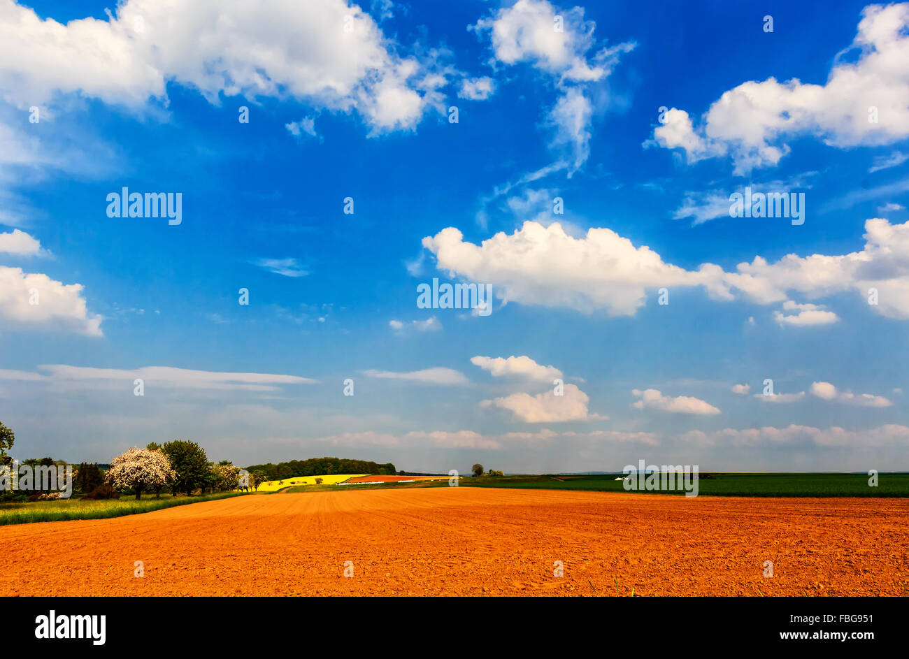 Landscape with fields before sunset in spring Stock Photo - Alamy