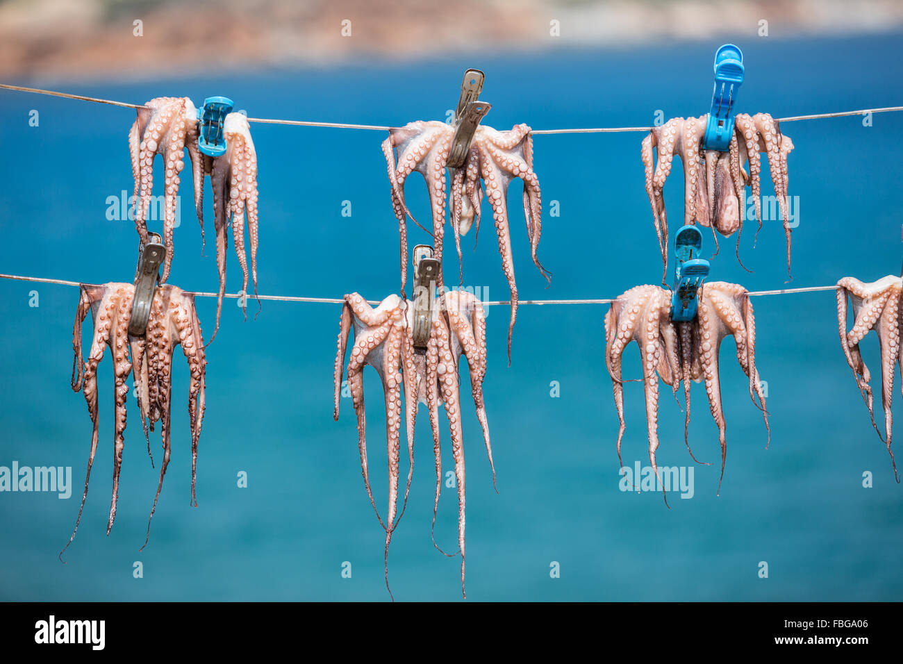 Octopus fishing boat hi-res stock photography and images - Alamy