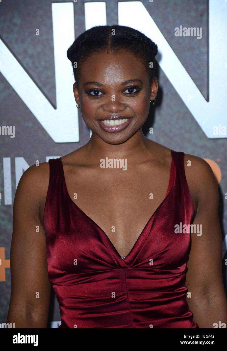 New York, NY, USA. 15th Jan, 2016. Susan Heyward at arrivals for VINYL ...
