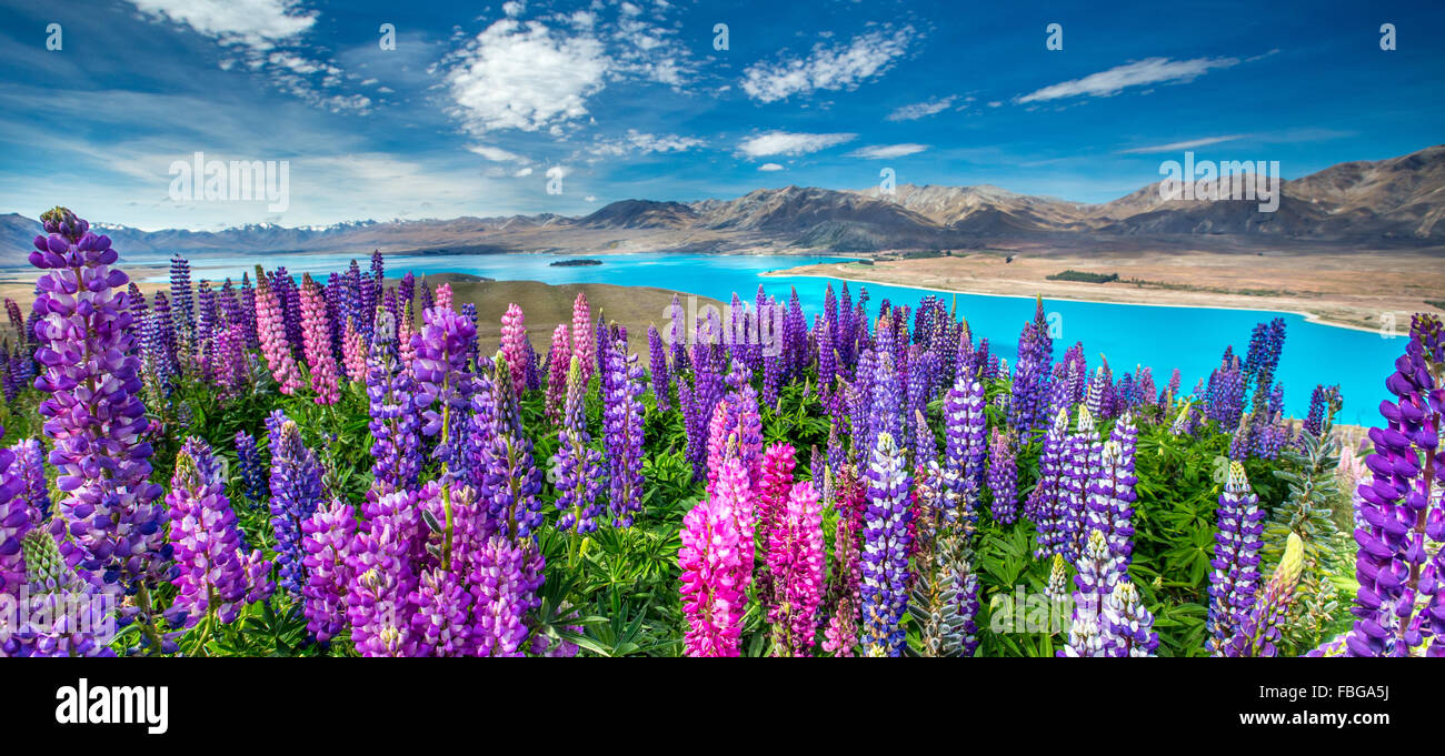 Colours of the world Stock Photo - Alamy