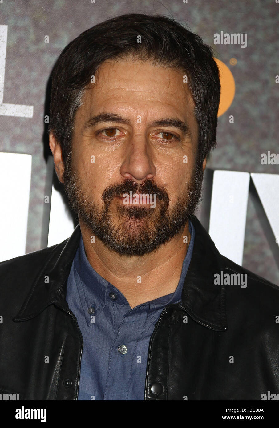 Actor ray romano hi-res stock photography and images - Alamy