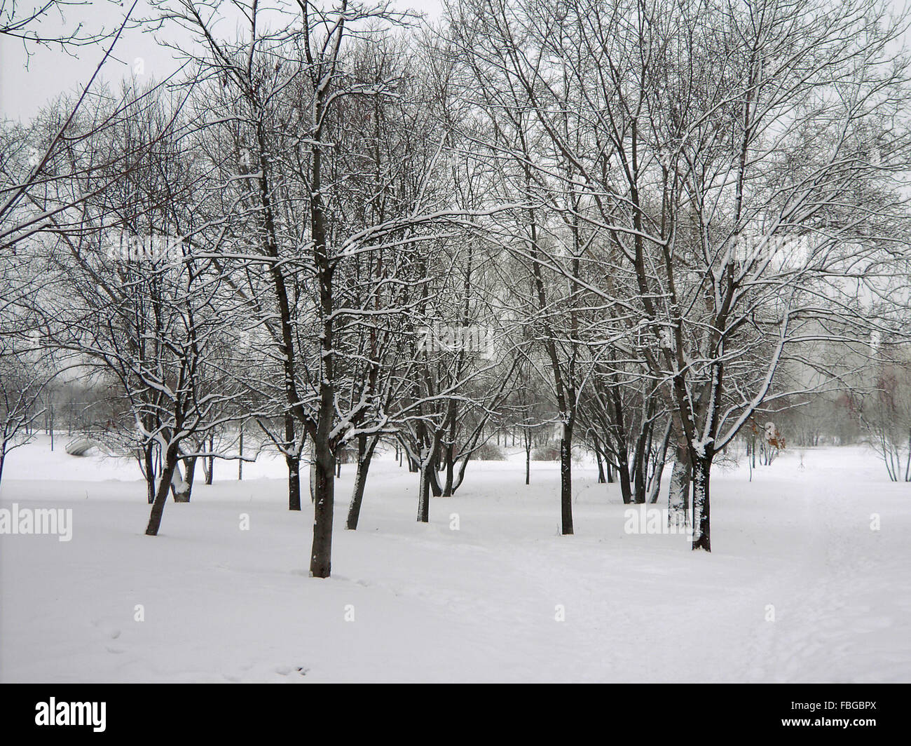 Snowfall alley hi-res stock photography and images - Alamy