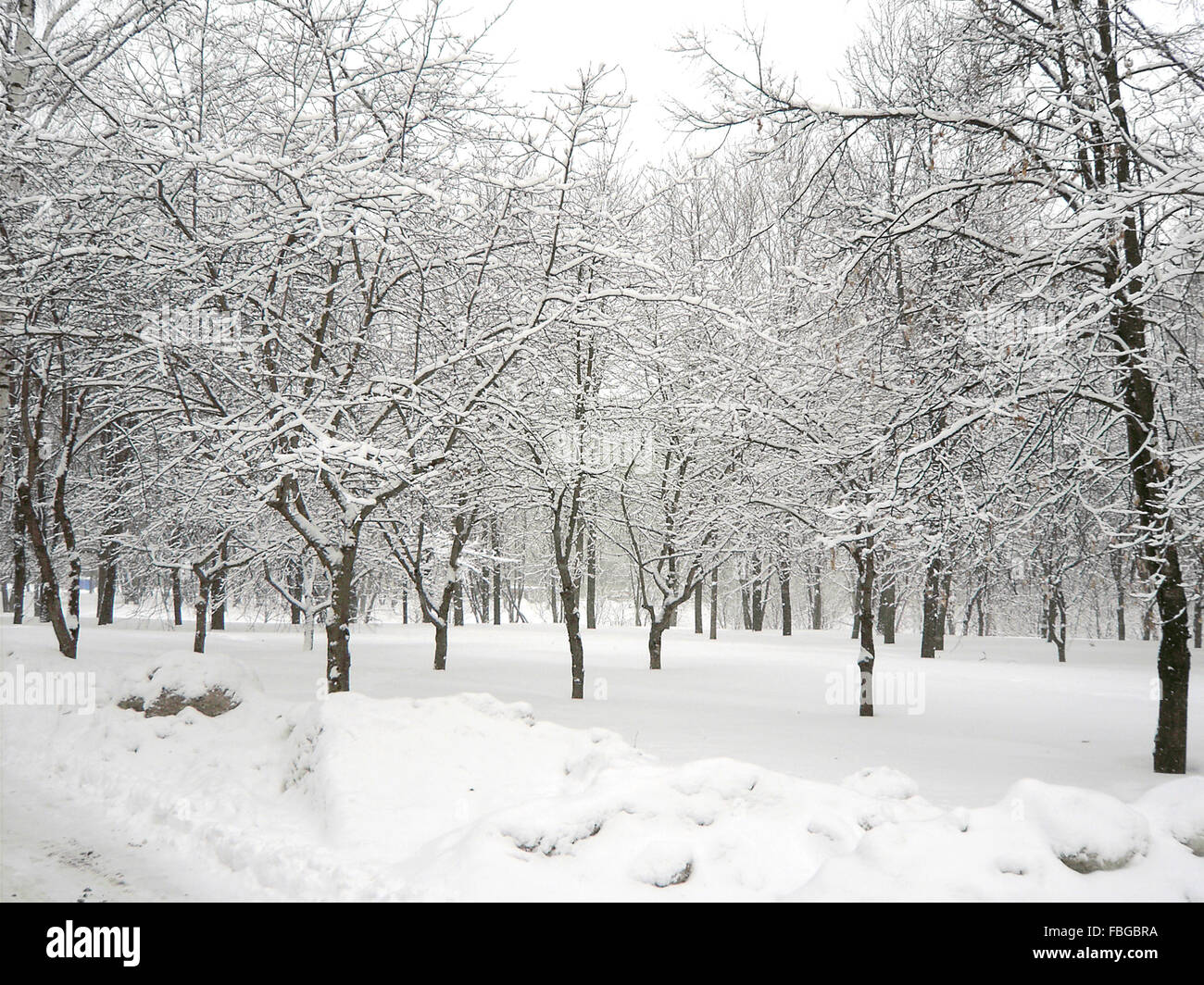 Snowfall in city hi-res stock photography and images - Alamy