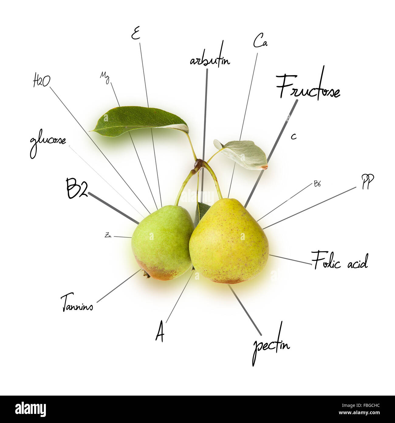 The chemical composition of pear Stock Photo - Alamy