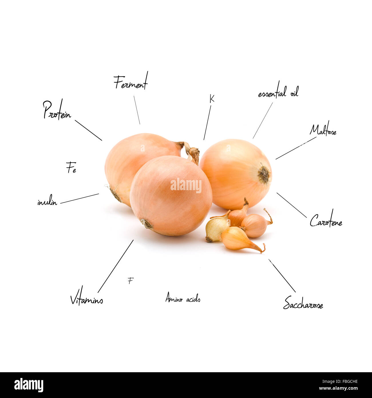The chemical composition of onion Stock Photo - Alamy