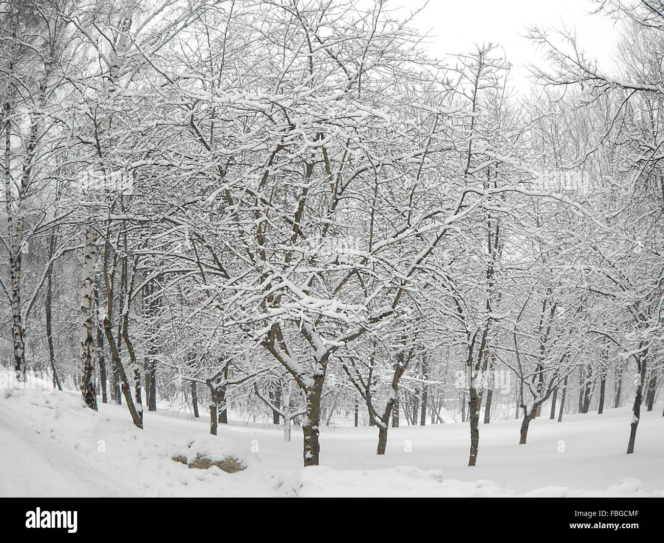 Snowfall alley hi-res stock photography and images - Alamy