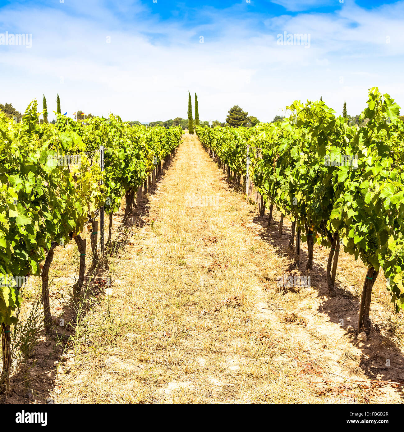 Countryside france farm hi-res stock photography and images - Alamy