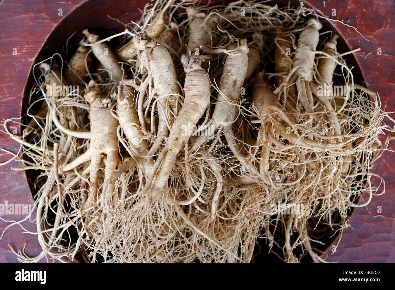 Ginseng hi-res stock photography and images - Alamy