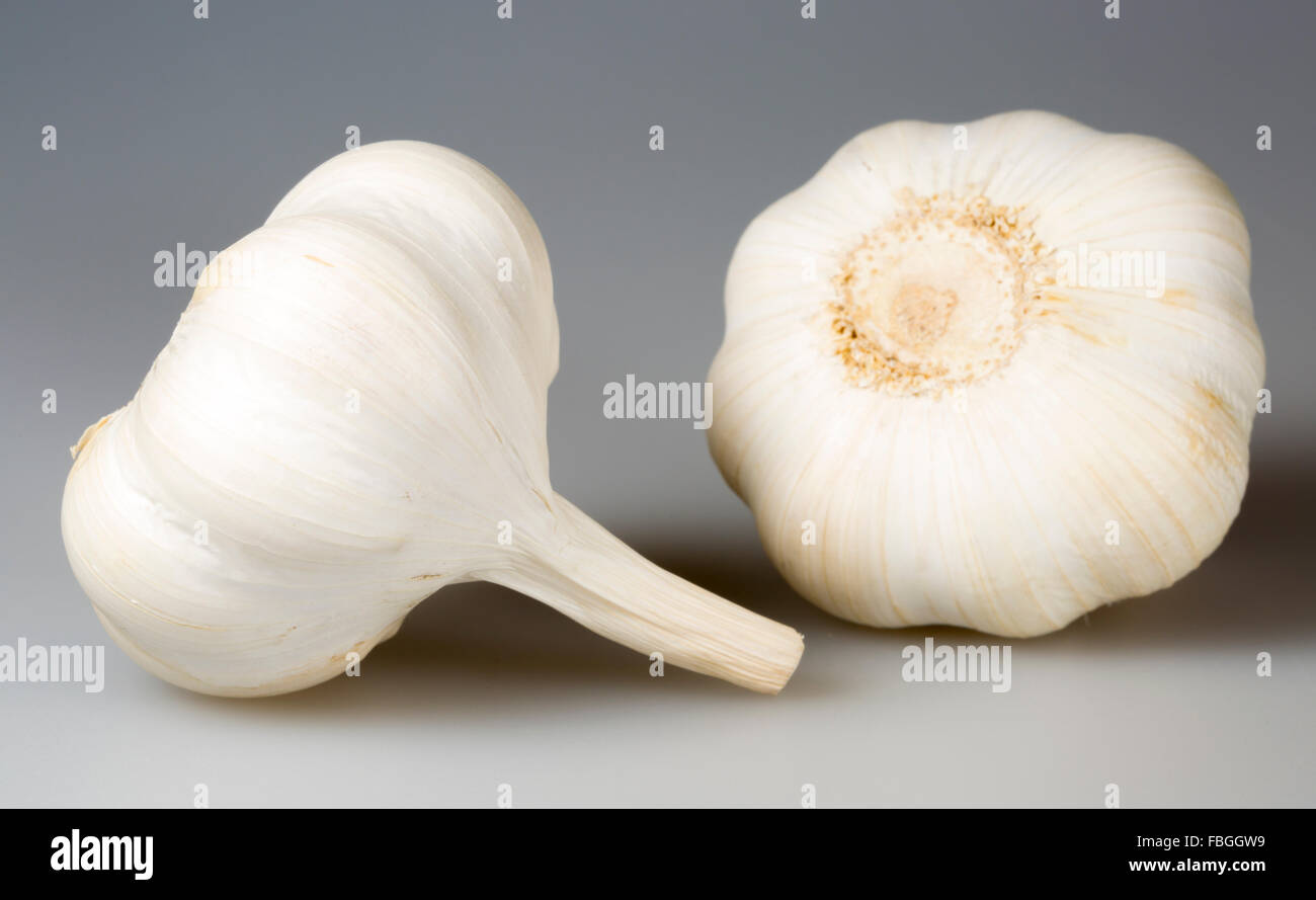 Pair of Garlic Bulbs Stock Photo - Alamy