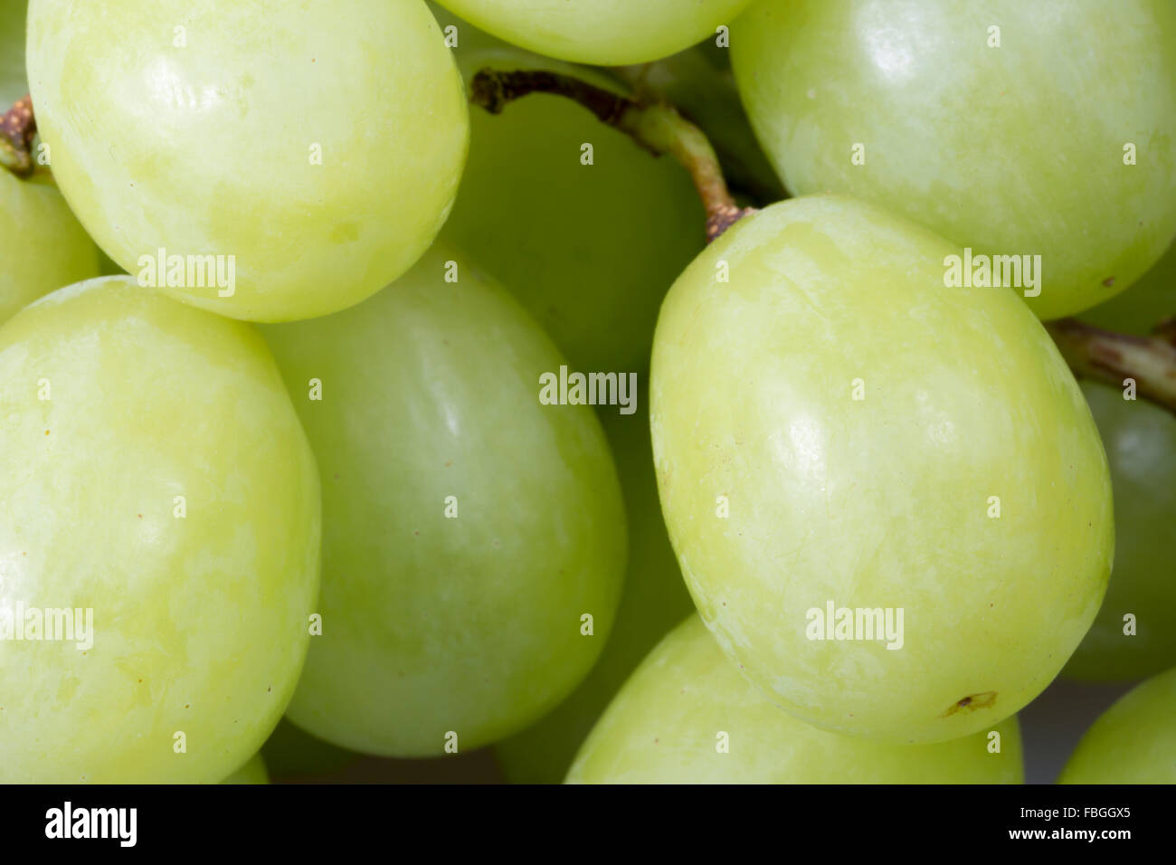 Green Grapes Close Up Stock Photo - Alamy