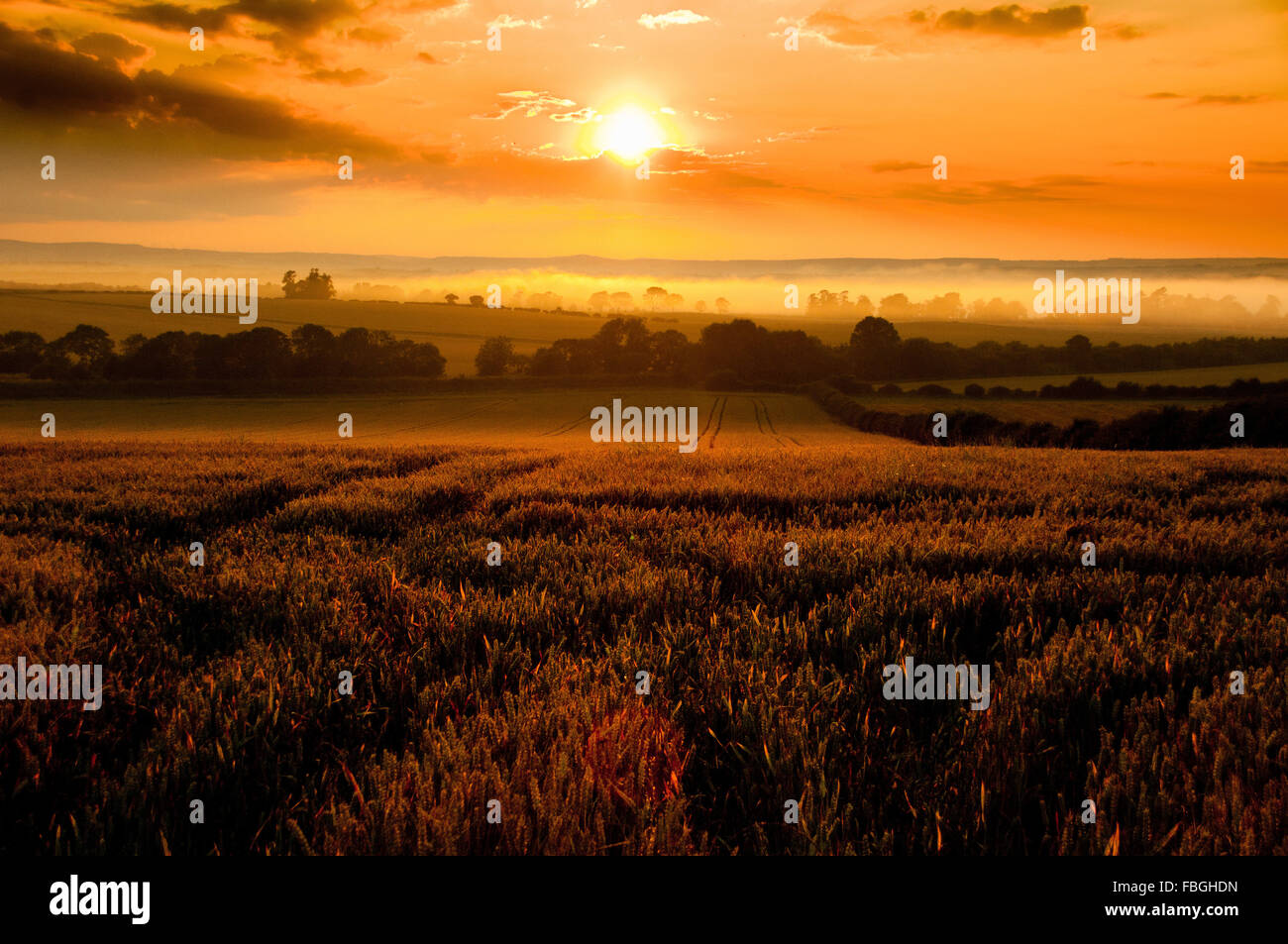 Mist rising over river hi-res stock photography and images - Alamy