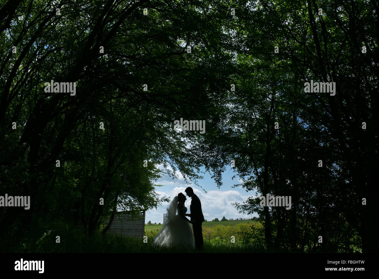 Beautiful wedding couple on nature Stock Photo - Alamy