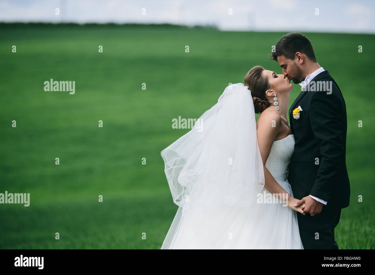 Beautiful wedding couple on nature Stock Photo - Alamy