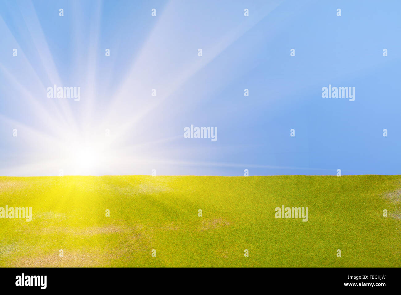 green field and sun sky Stock Photo - Alamy