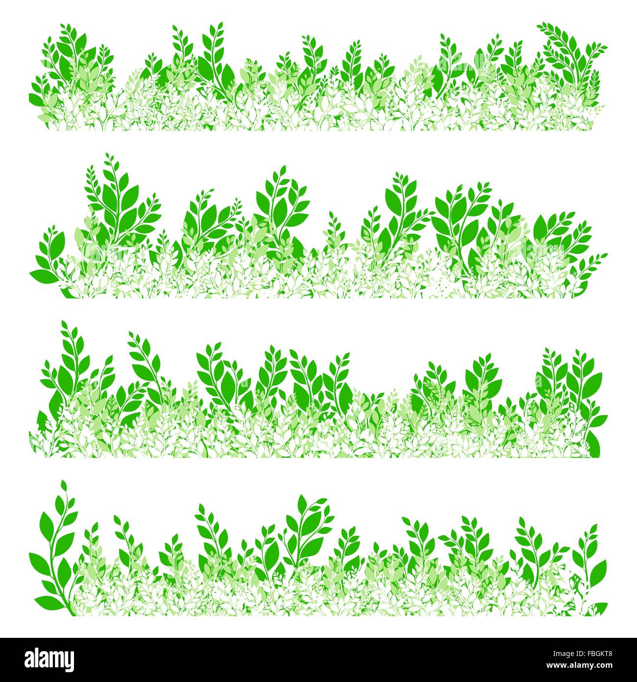 Border leaf hi-res stock photography and images - Alamy