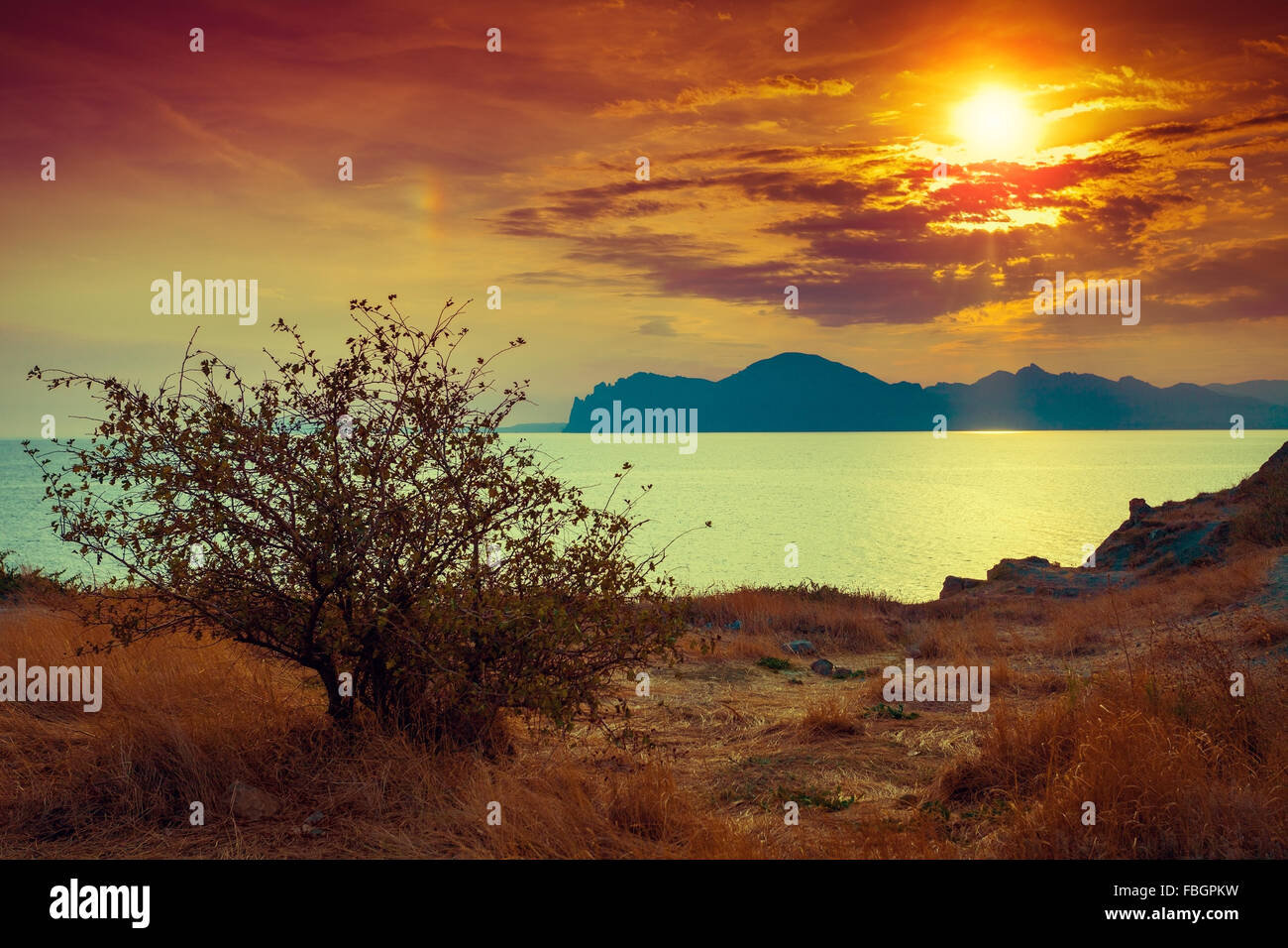 Sunset over rocky sea coast Stock Photo - Alamy