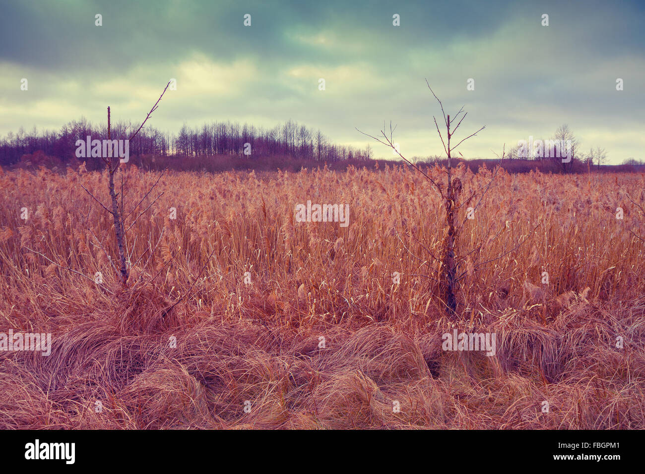 Stormy autumn weather hi-res stock photography and images - Alamy