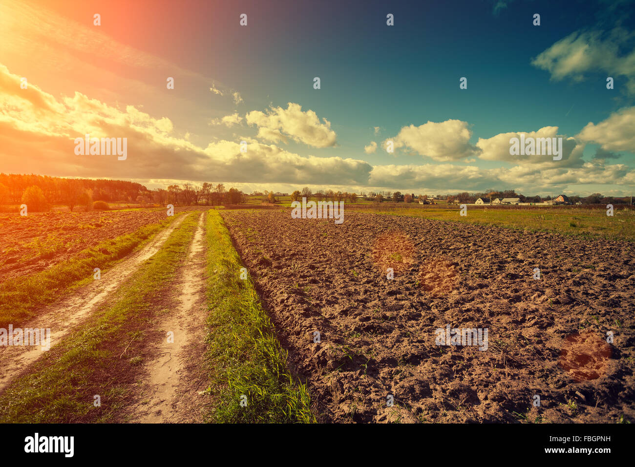 Field plowed corn hi-res stock photography and images - Alamy