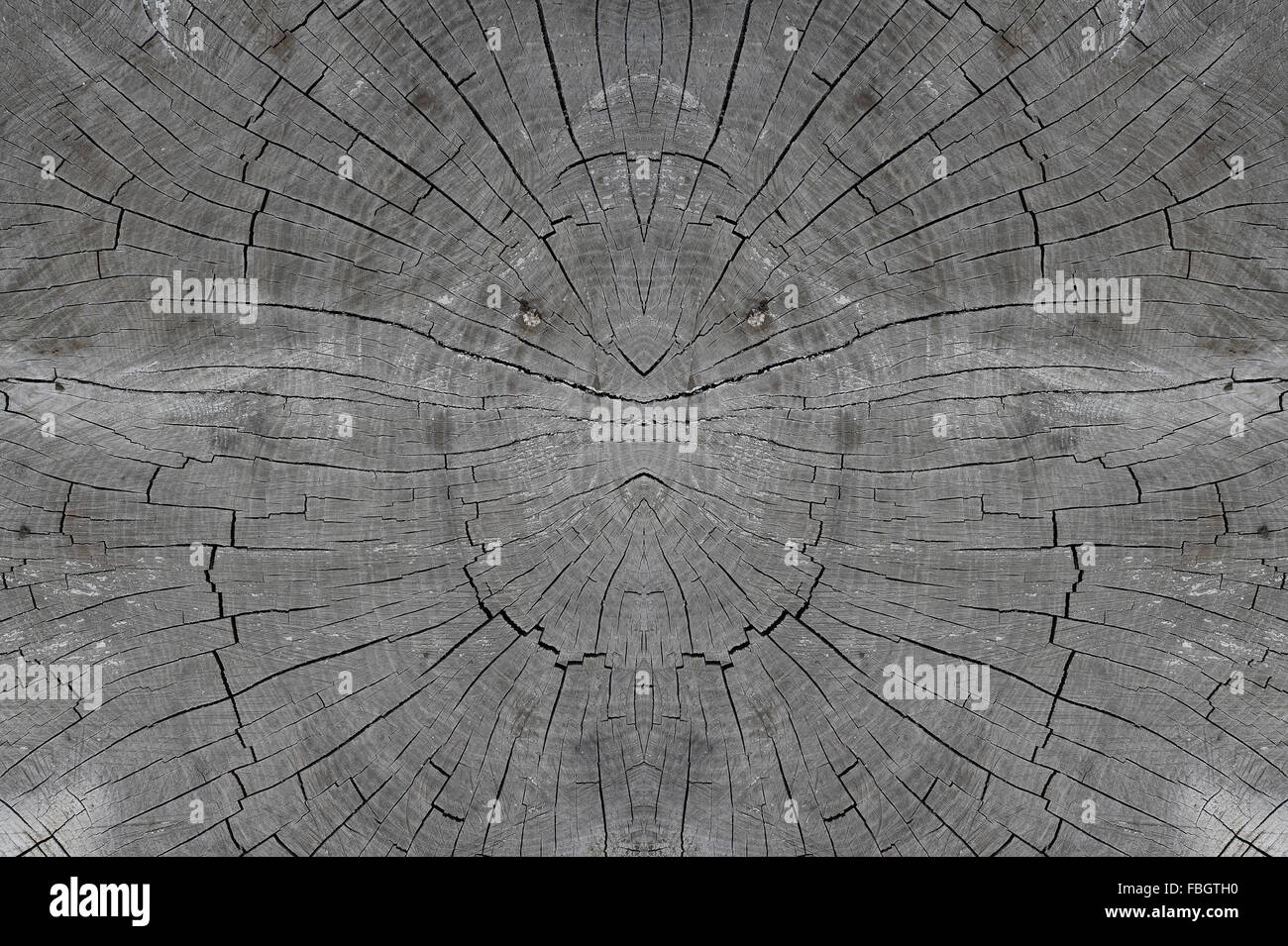 Texture of the old wooden stub for a background Stock Photo - Alamy