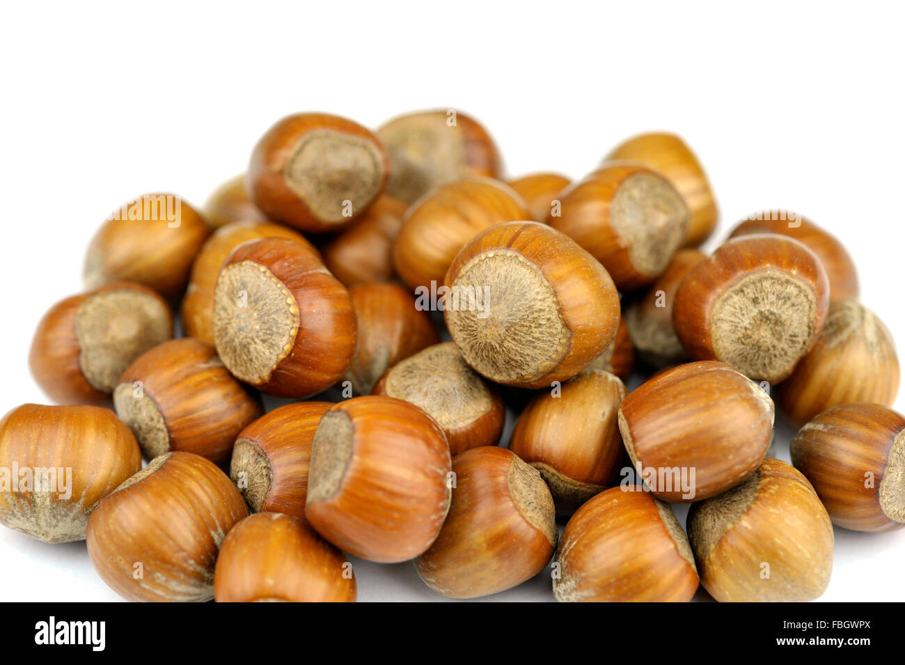Whole Hazel nuts, also known as Cob nuts or Filberts Stock Photo - Alamy