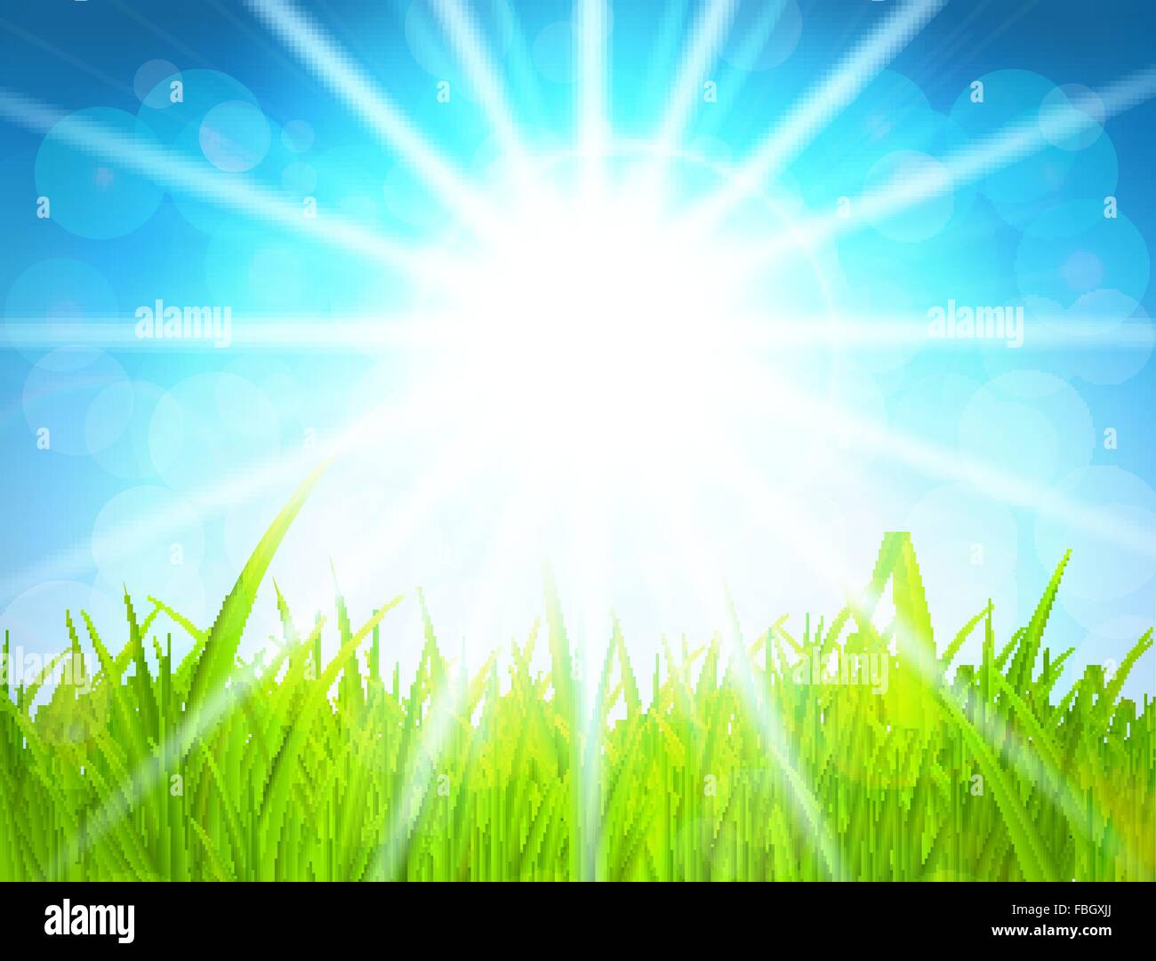 Summer Abstract Background With Grass Vector Illustration Stock Vector