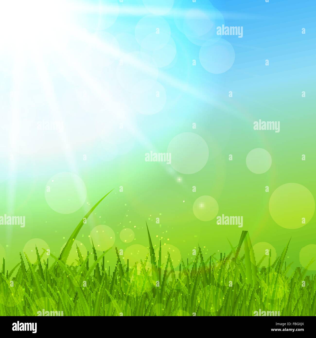Summer Abstract Background with Grass. Vector Illustration Stock Vector ...