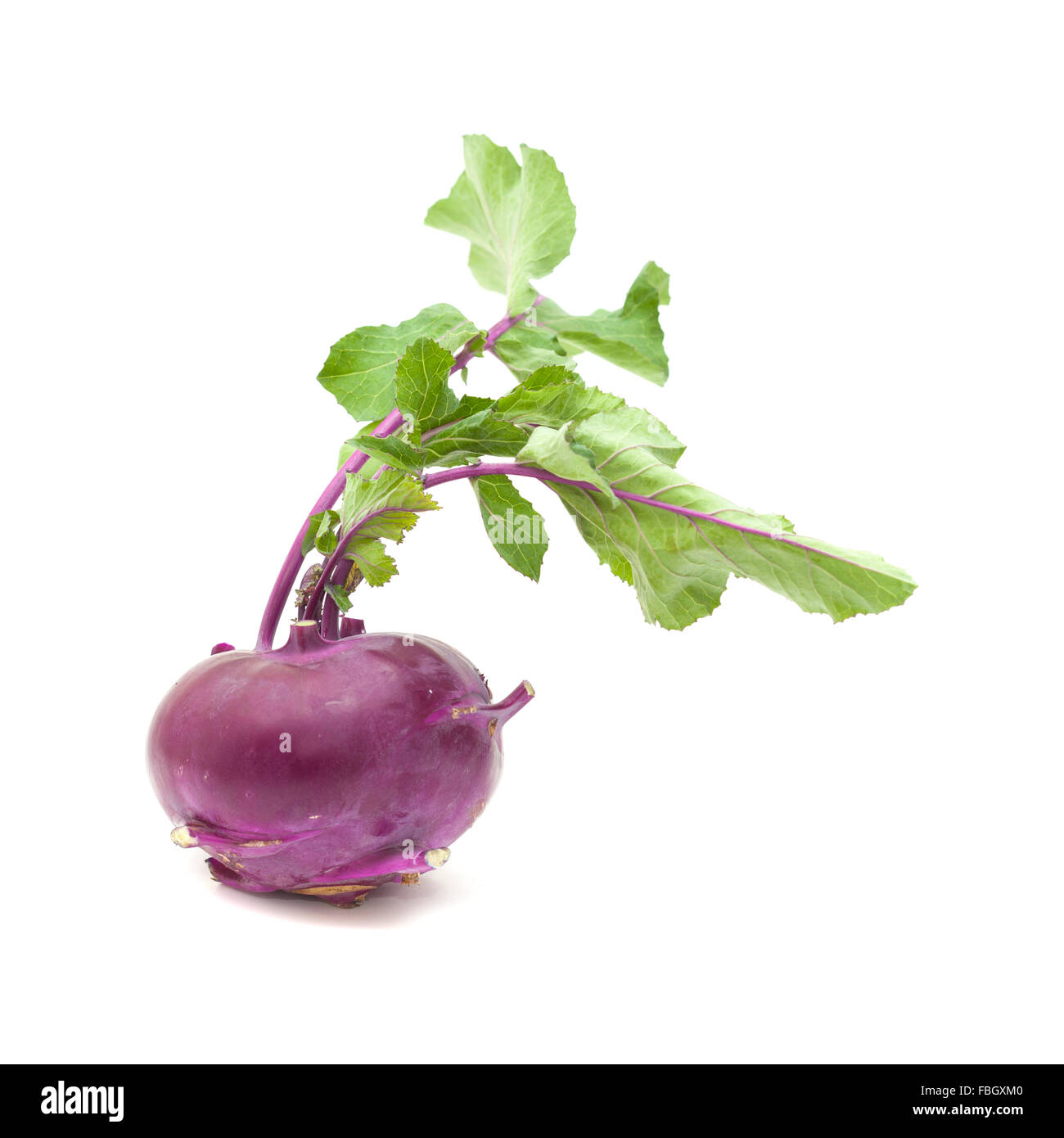 Purple Kohlrabi cabbage isolated on white Stock Photo - Alamy