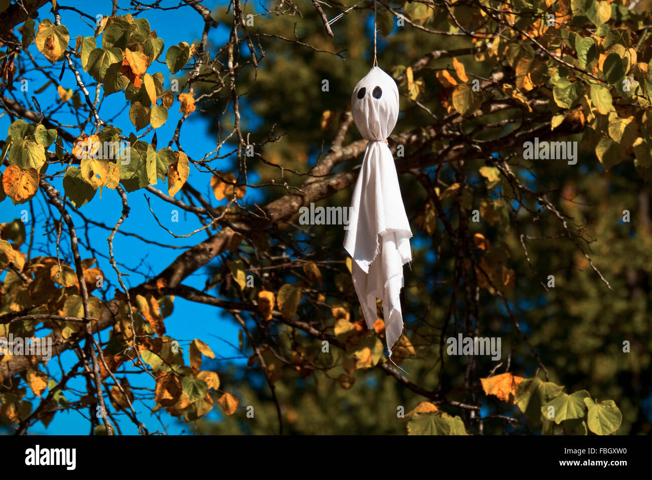 Ghost in sheet hi-res stock photography and images - Alamy