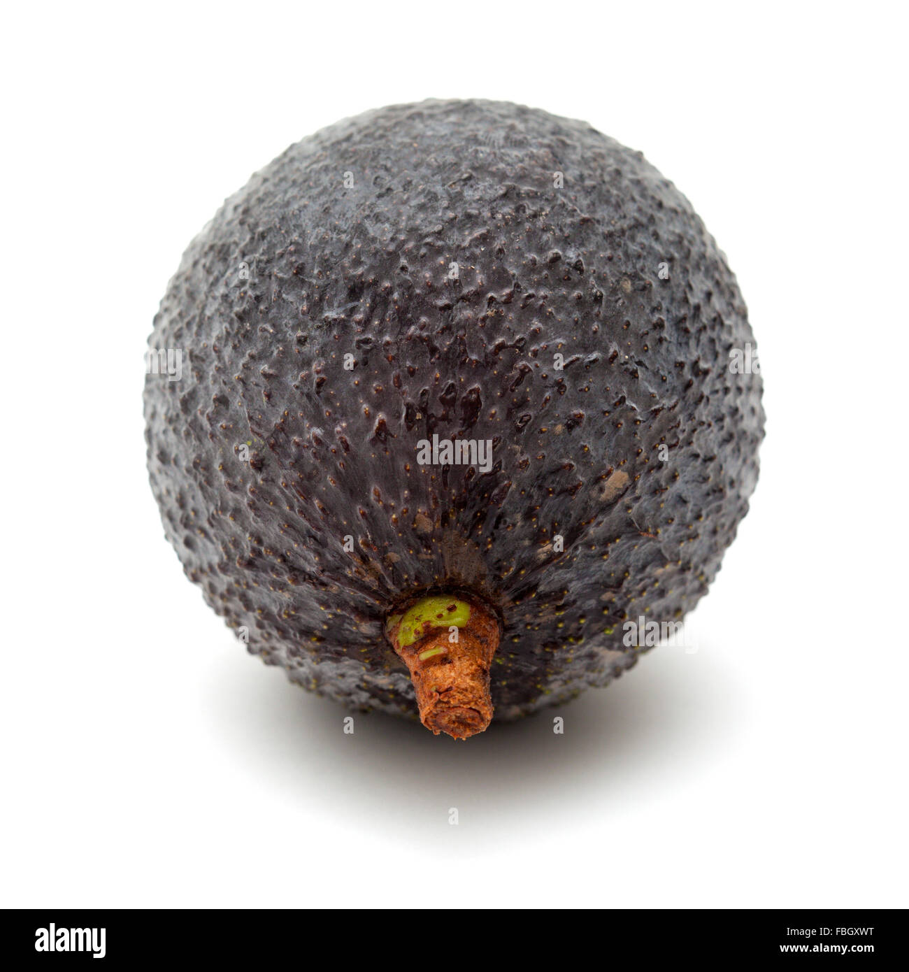 round dark skinned avocado pear isolated on white background Stock Photo - Alamy