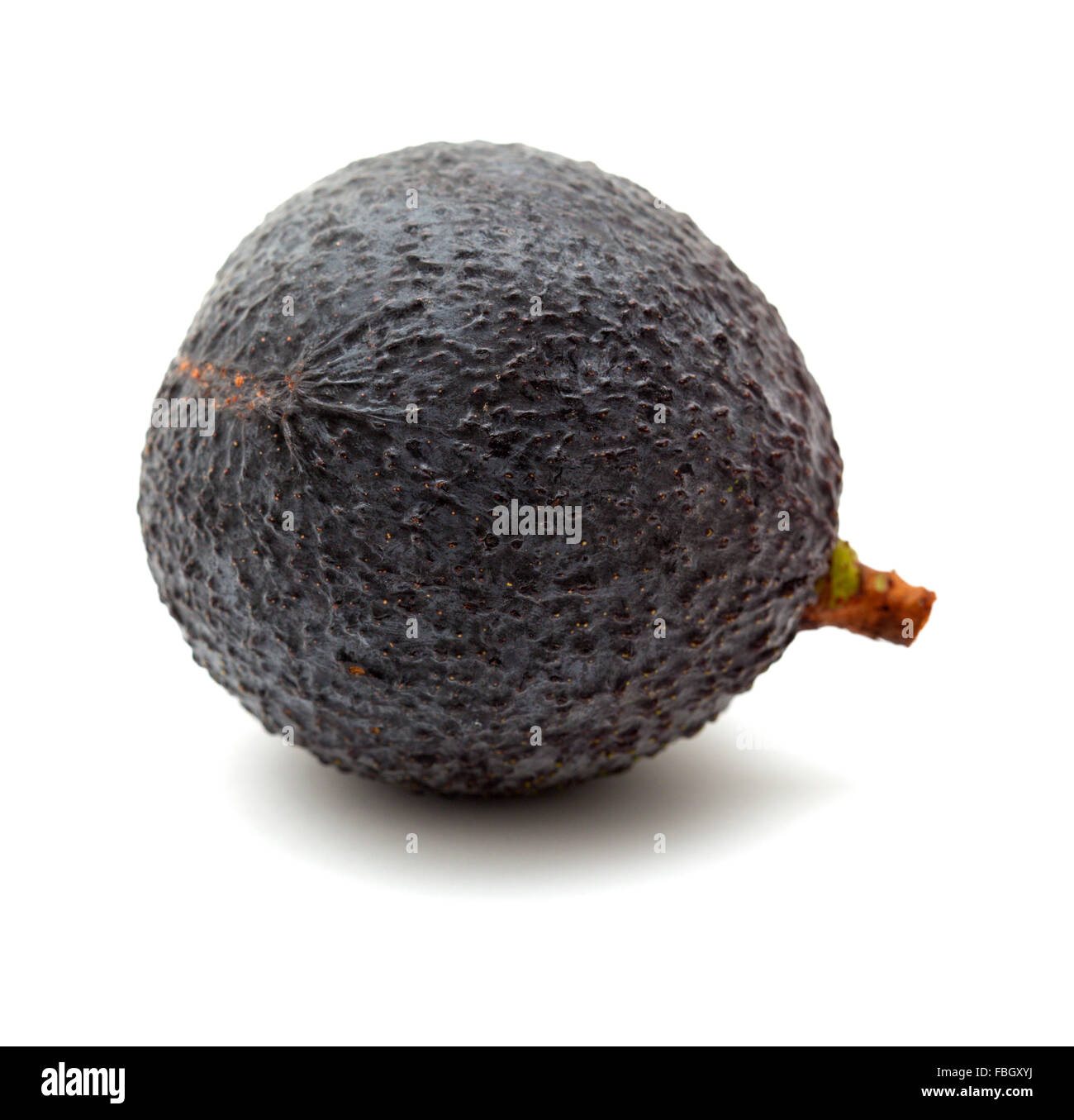 Native pear Cut Out Stock Images & Pictures - Alamy