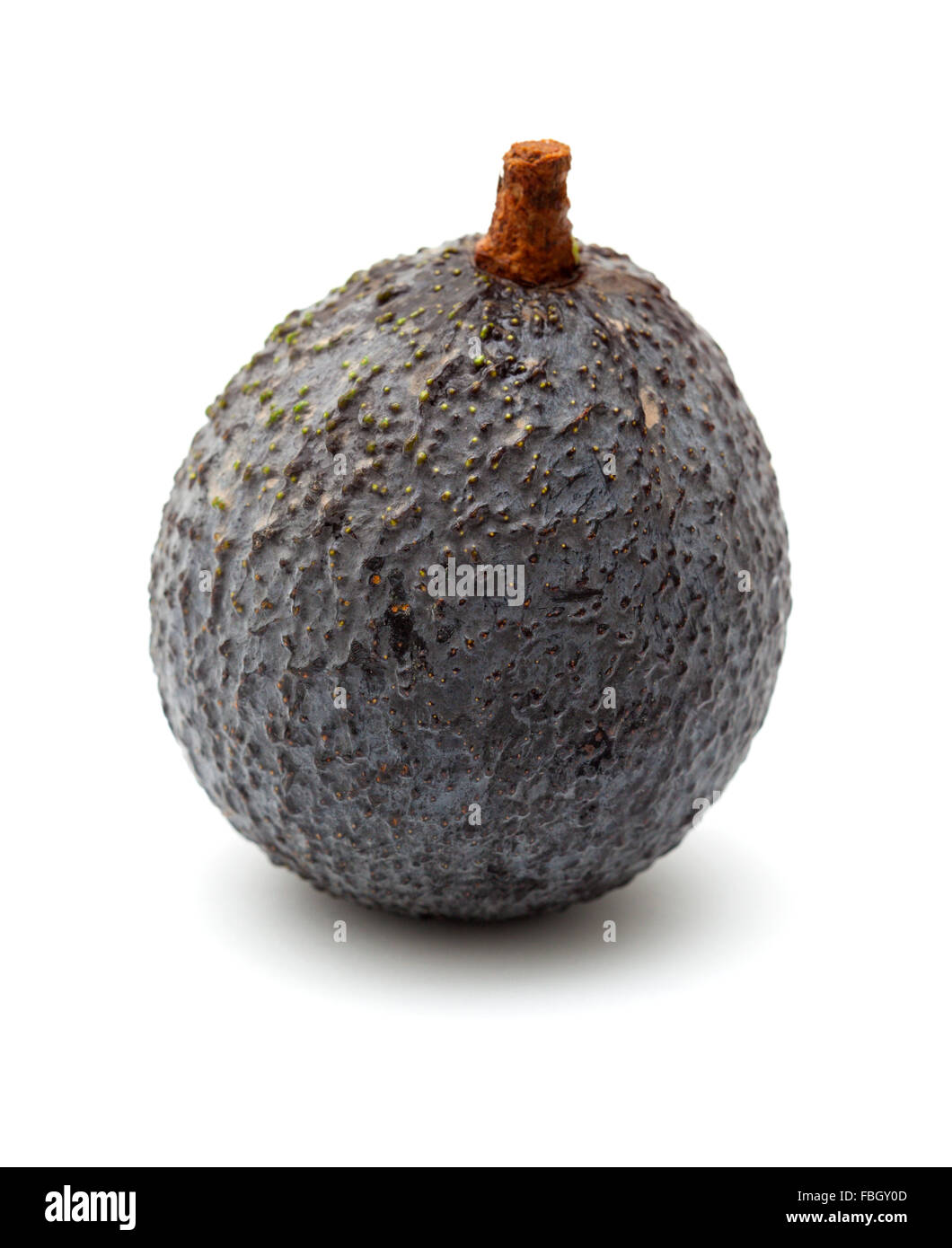 round dark skinned avocado pear isolated on white background Stock Photo - Alamy