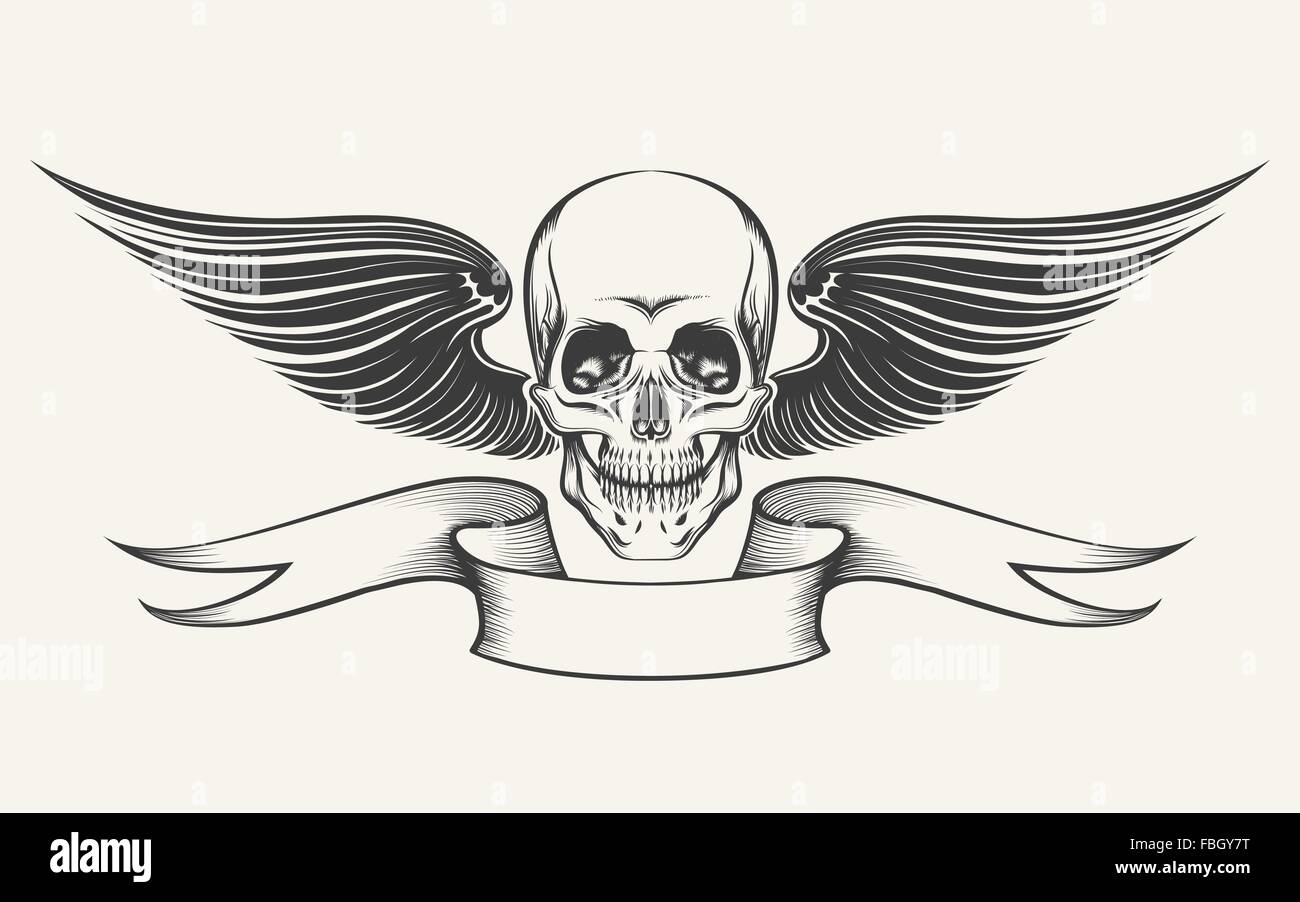 Skull with Wings and Ribbon. Illustration in engraving style. Isolated ...