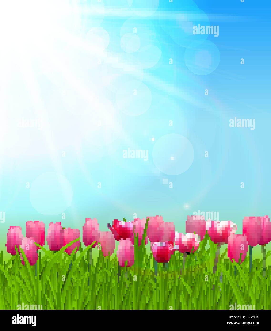 Natural Sunny Background Vector Illustration Stock Vector Image & Art ...