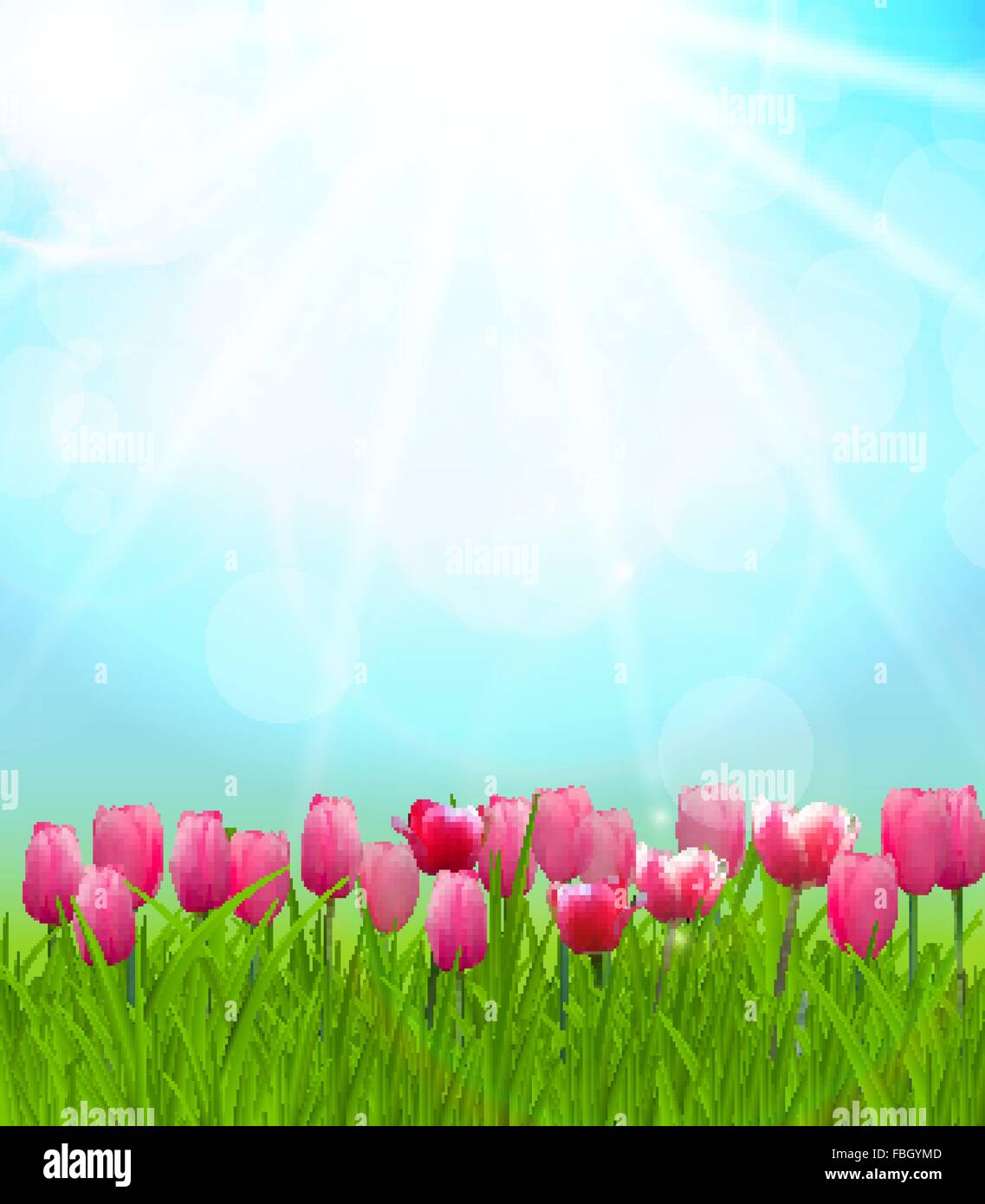 Natural Sunny Background Vector Illustration Stock Vector Image & Art ...